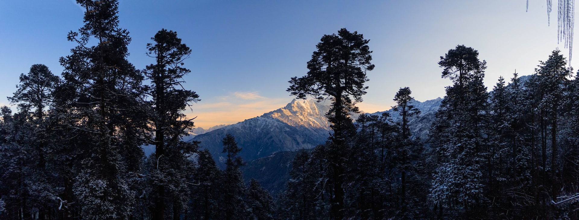 Langtang National Park: Permit, Trekking, Flora and Fauna